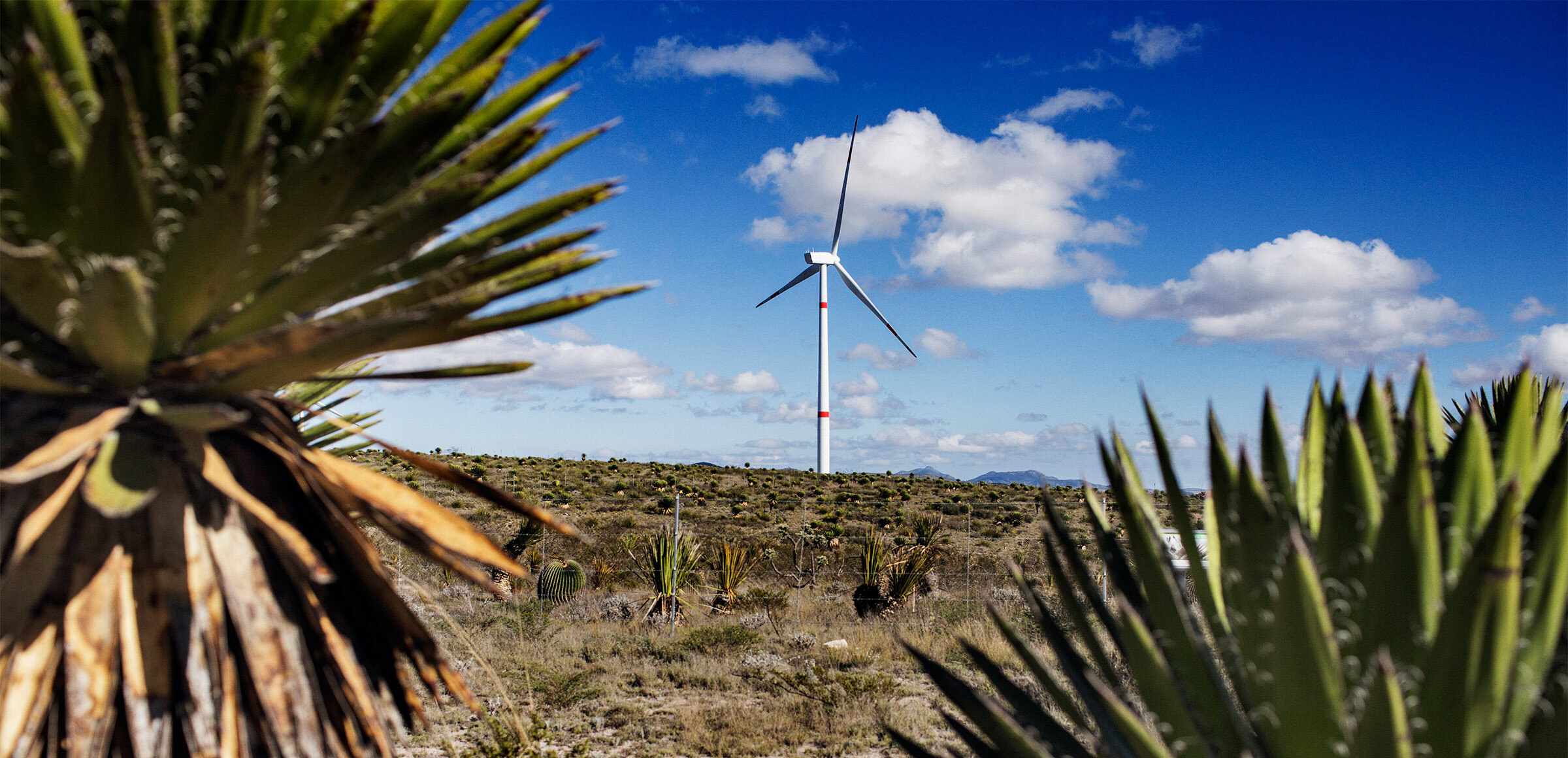 Mexico moves with renewable energy | Enel Green Power