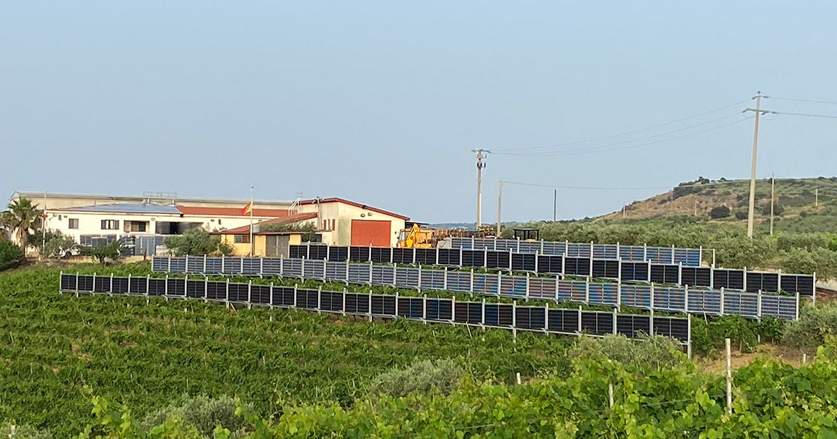 Vineyards and renewables with Agrivoltaic Open Labs | Enel Green Power