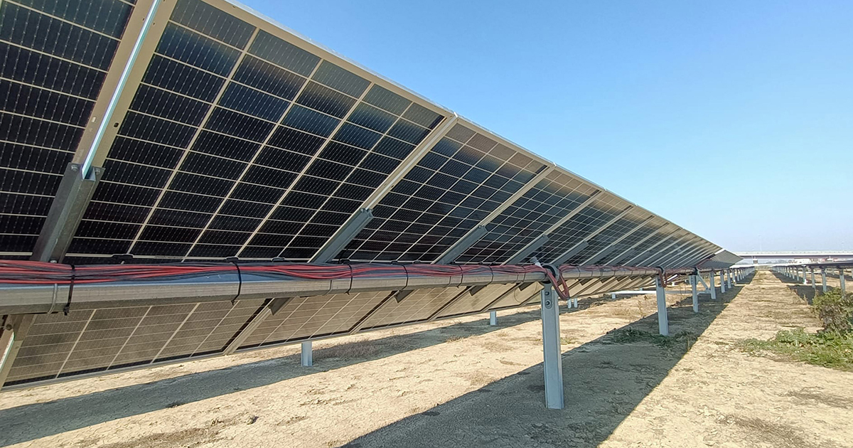 Photovoltaic Albedo: what it is and its role in plants | Enel Green Power