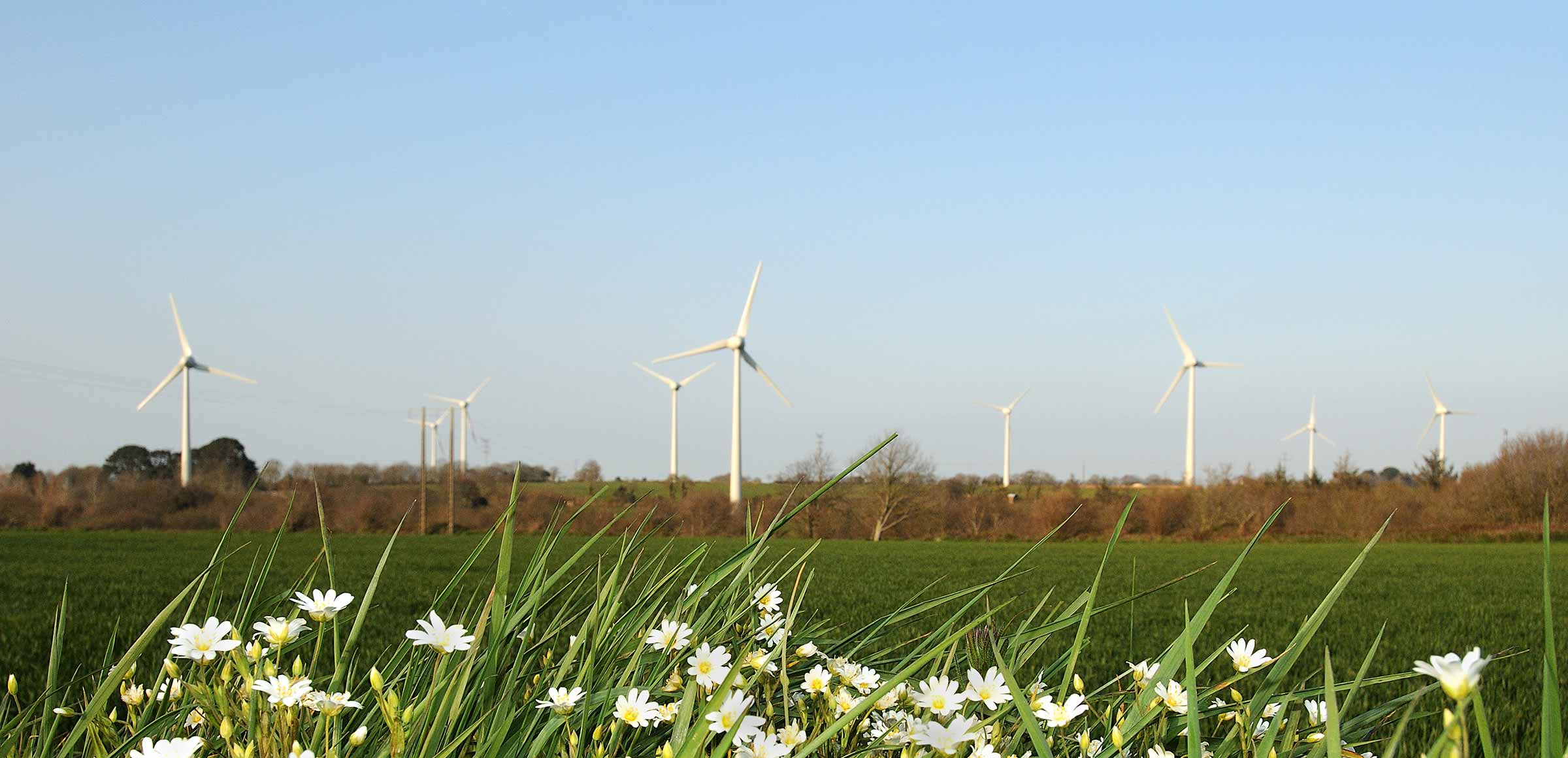 PPA and large companies: Increasingly towards renewable energy | Enel ...