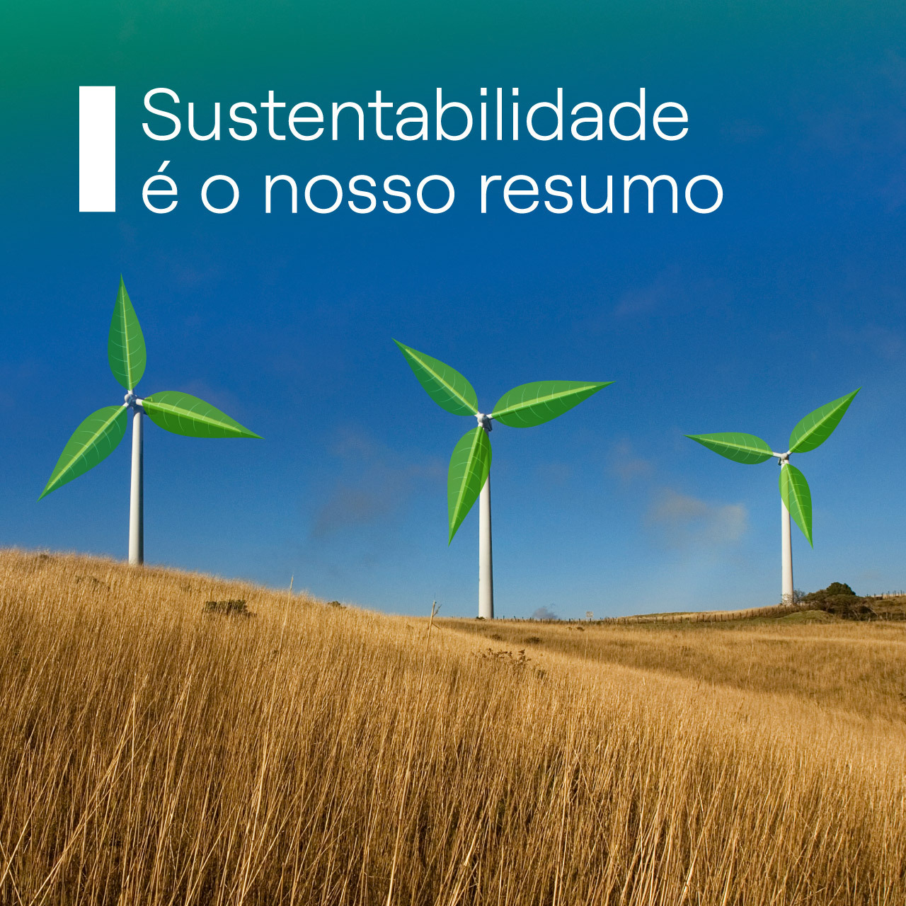 Sustentabilidade: ambiental, social e governamental | Enel Green Power