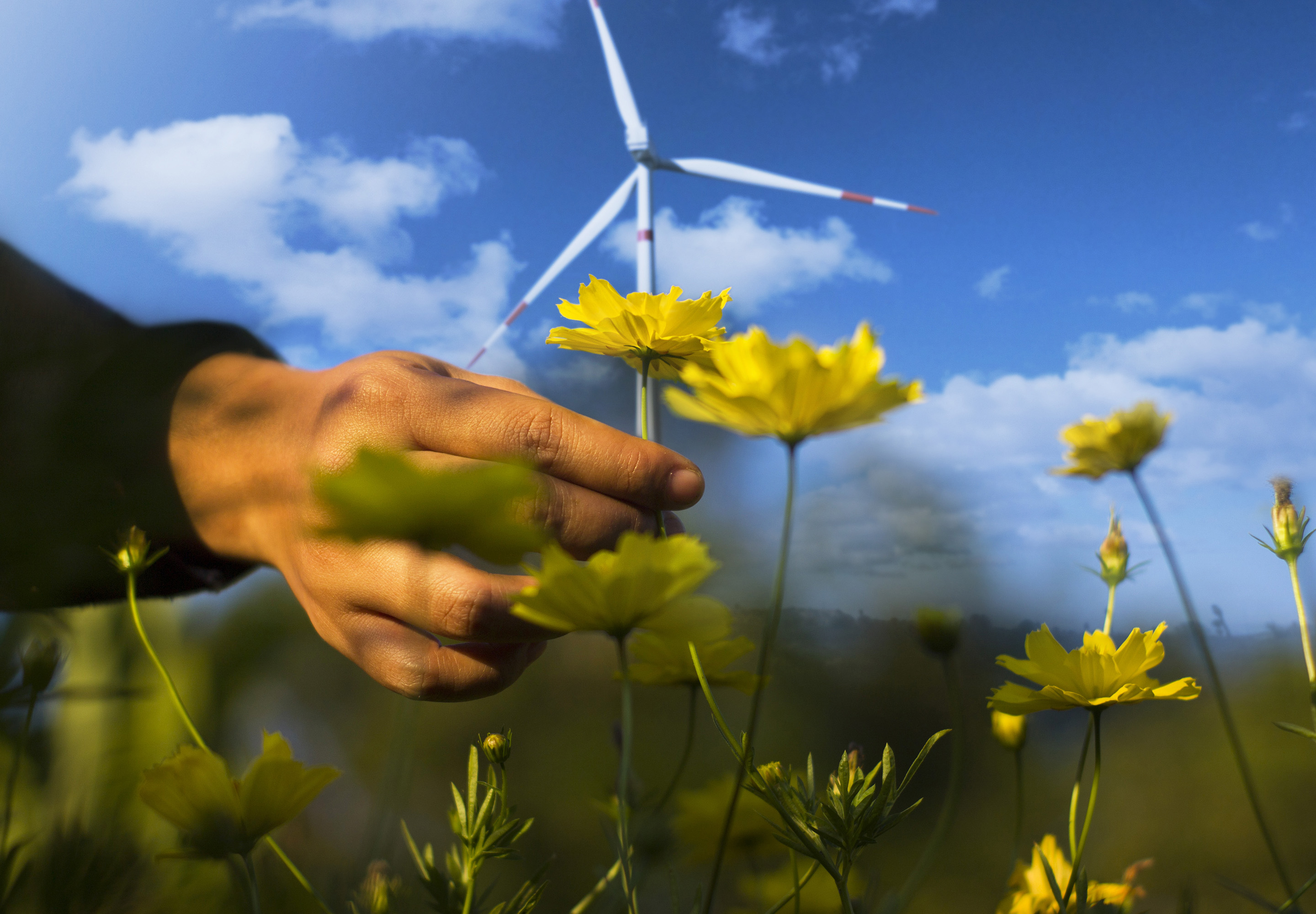 Renewables. It’s time for some myth-busting. | Enel Green Power | Enel ...