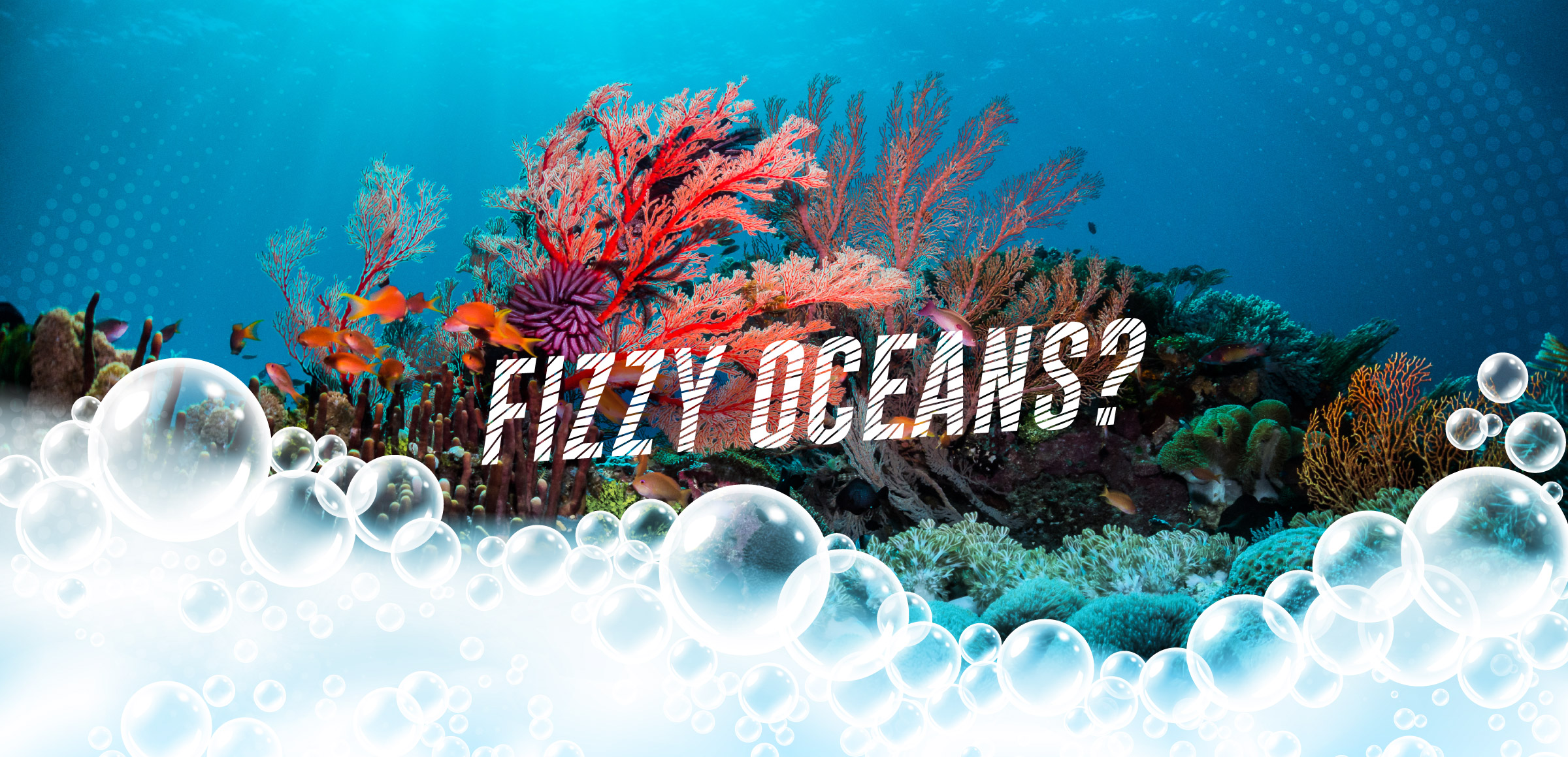 Ocean acidification: what it is and why it happens | Enel Green Power