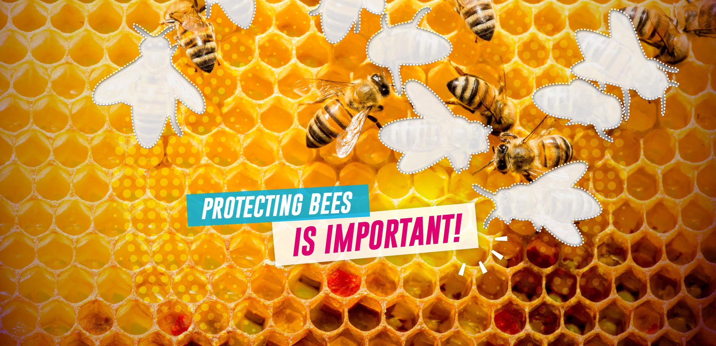 Why bees are important | Enel Green Power