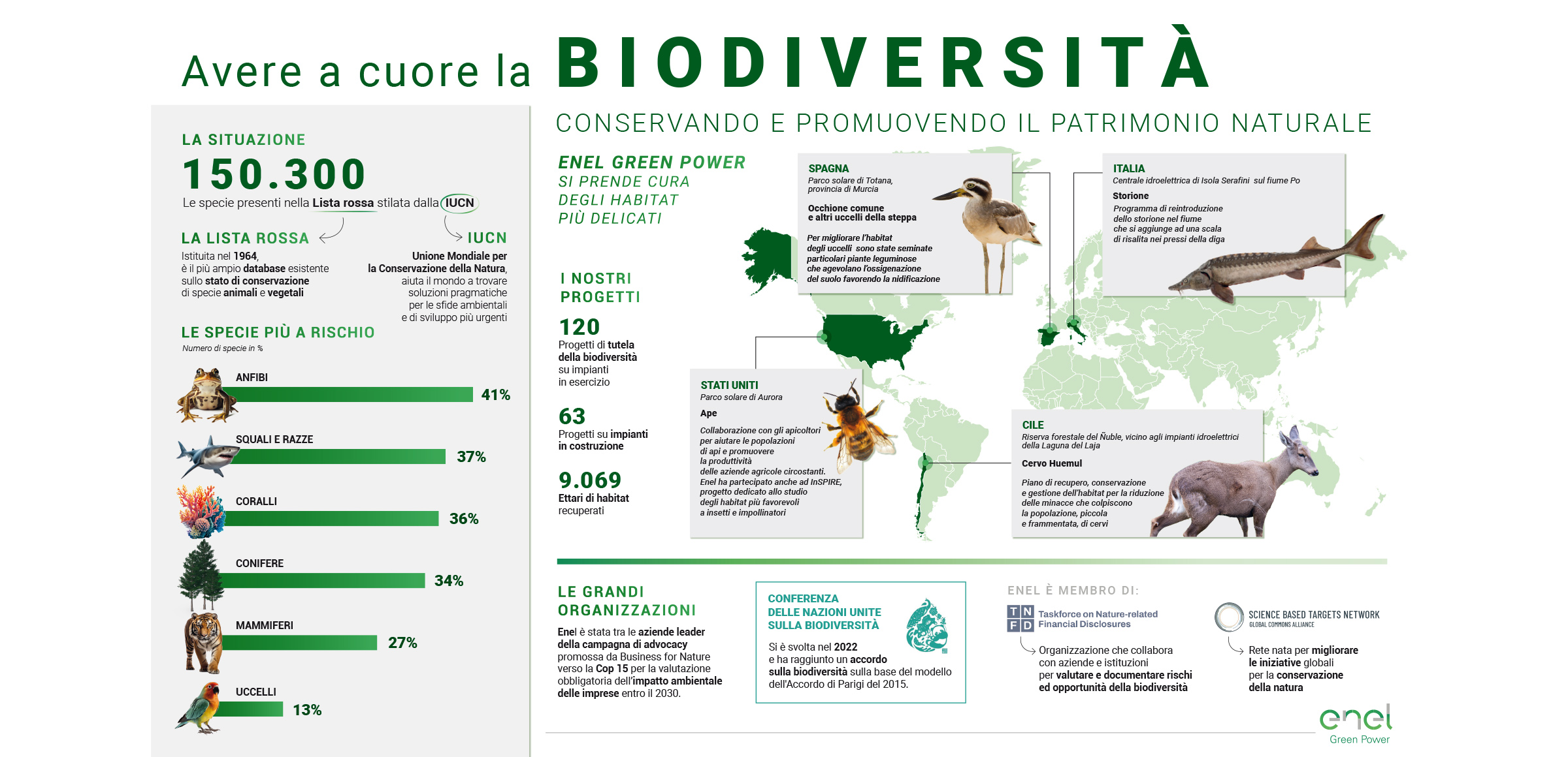 Diversi Tipi Di Habitat