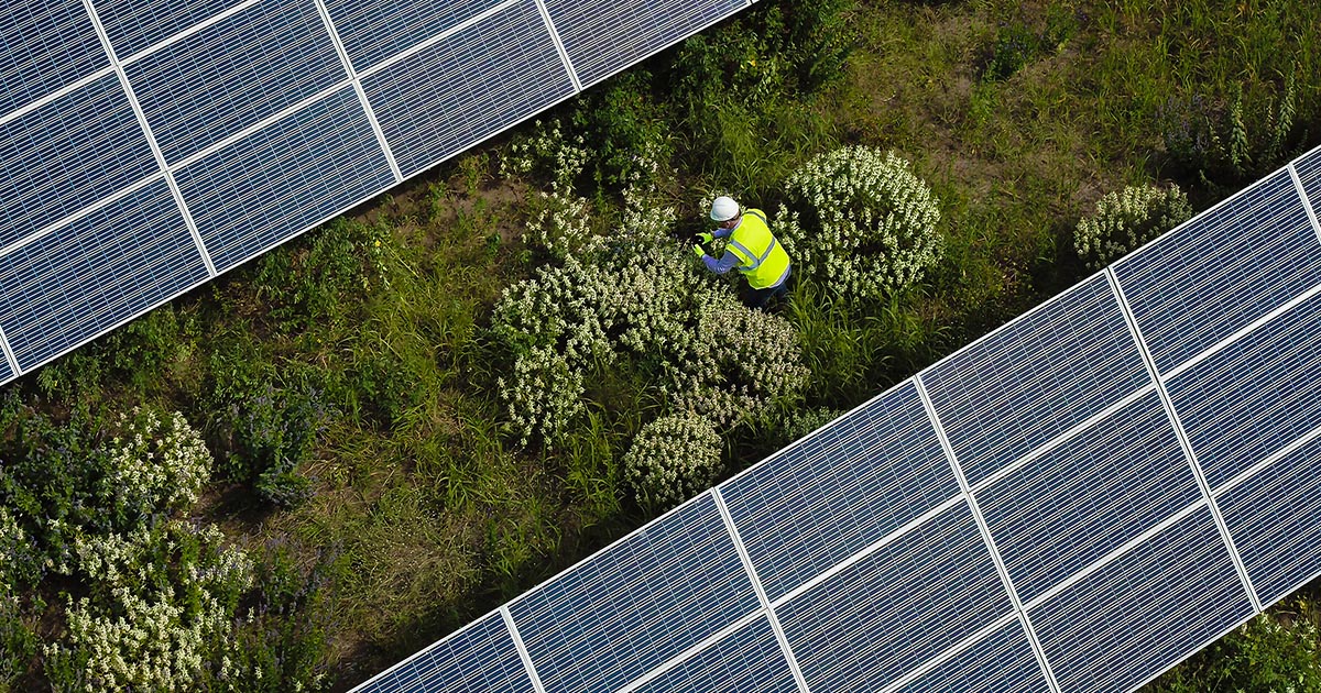 Luminary Highlands Solar + Storage Project, USA | Enel Green Power