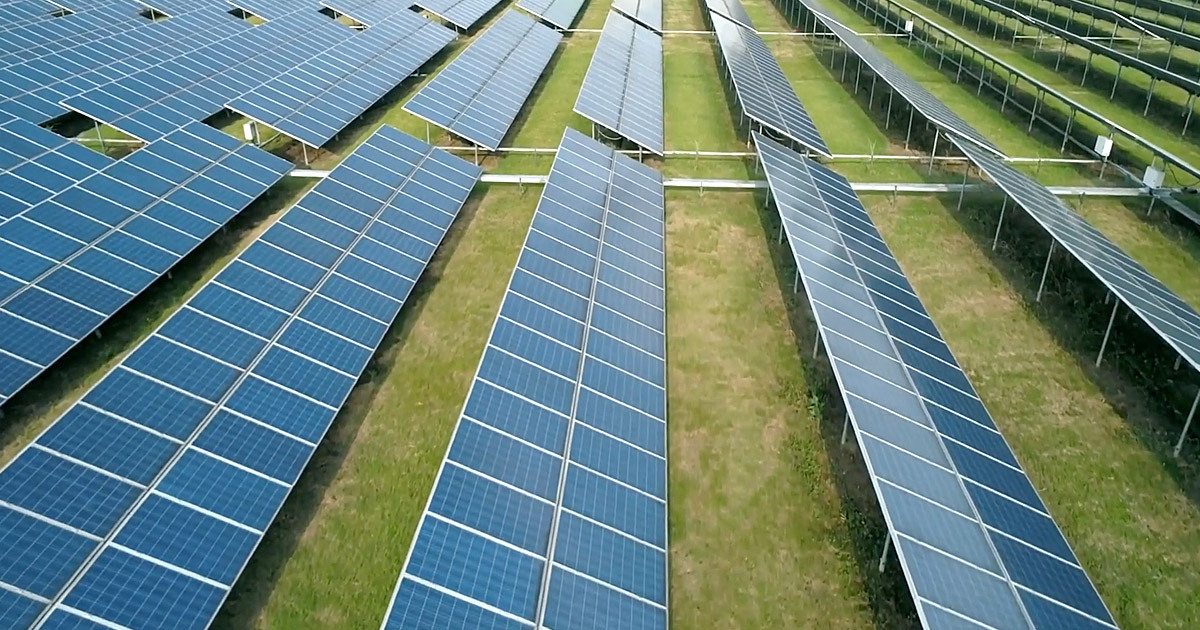 Fabio Rustico's new life in the agrivoltaics | Enel Green Power