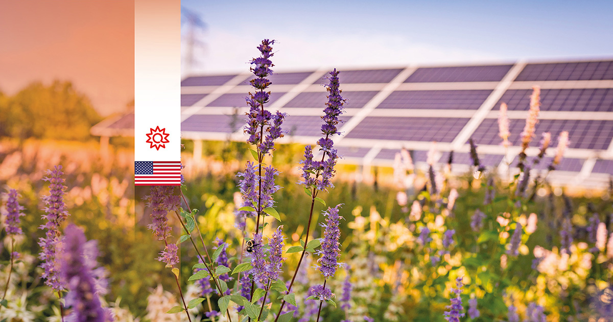 Aurora Solar Plant, sustainable and dual-use | Enel Green Power