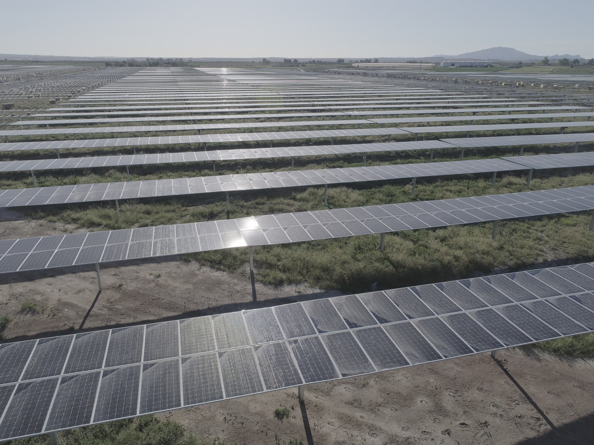Parque Agrivoltaico en Cancello ed Arnone | Enel Green Power